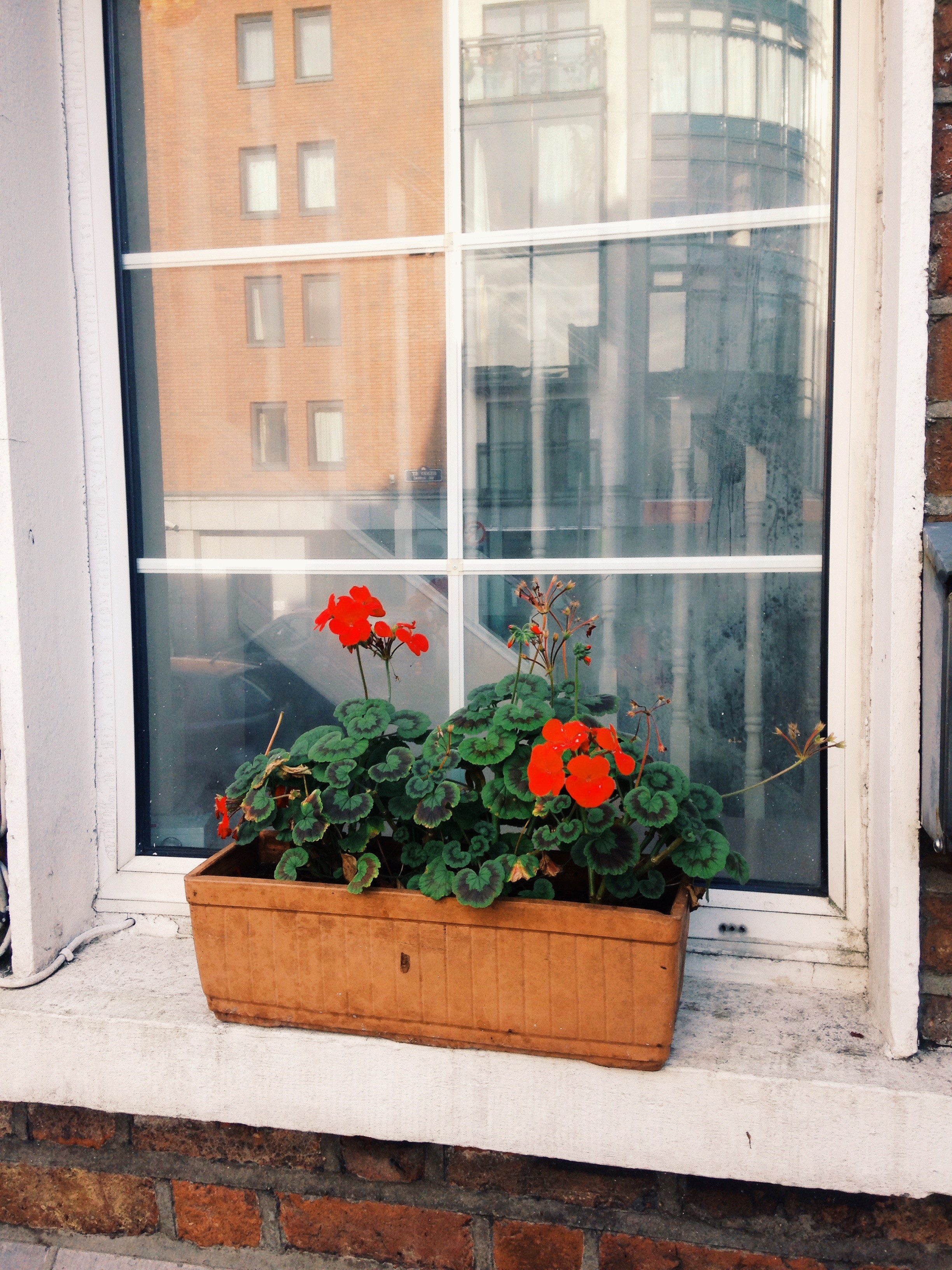 Top 5 Coffee Shops You Must Visit in Limerick – Study Ireland – Stories ...