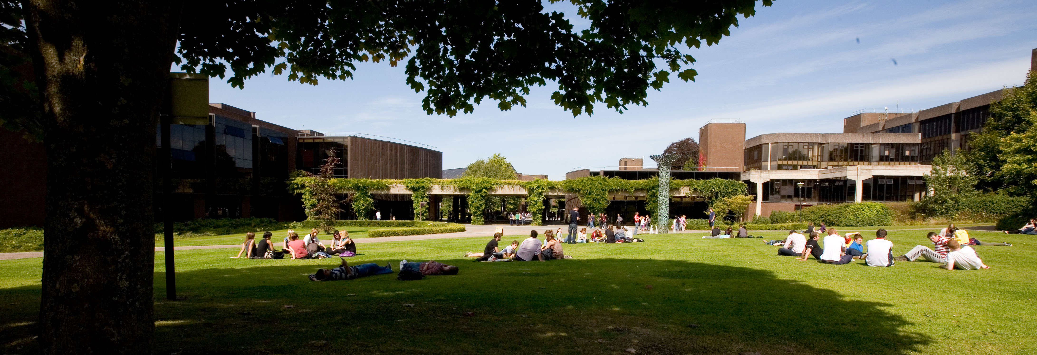 Law Programmes and student support at University of Limerick – Study ...