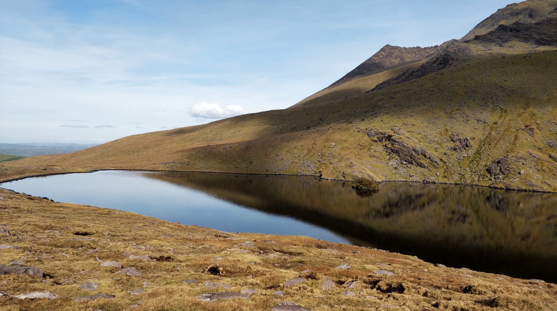 A life beyond academics? UL is the place! – Study Ireland – Stories ...
