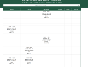 An Overview of UL Timetables – Study Ireland – Stories & Guides from ...